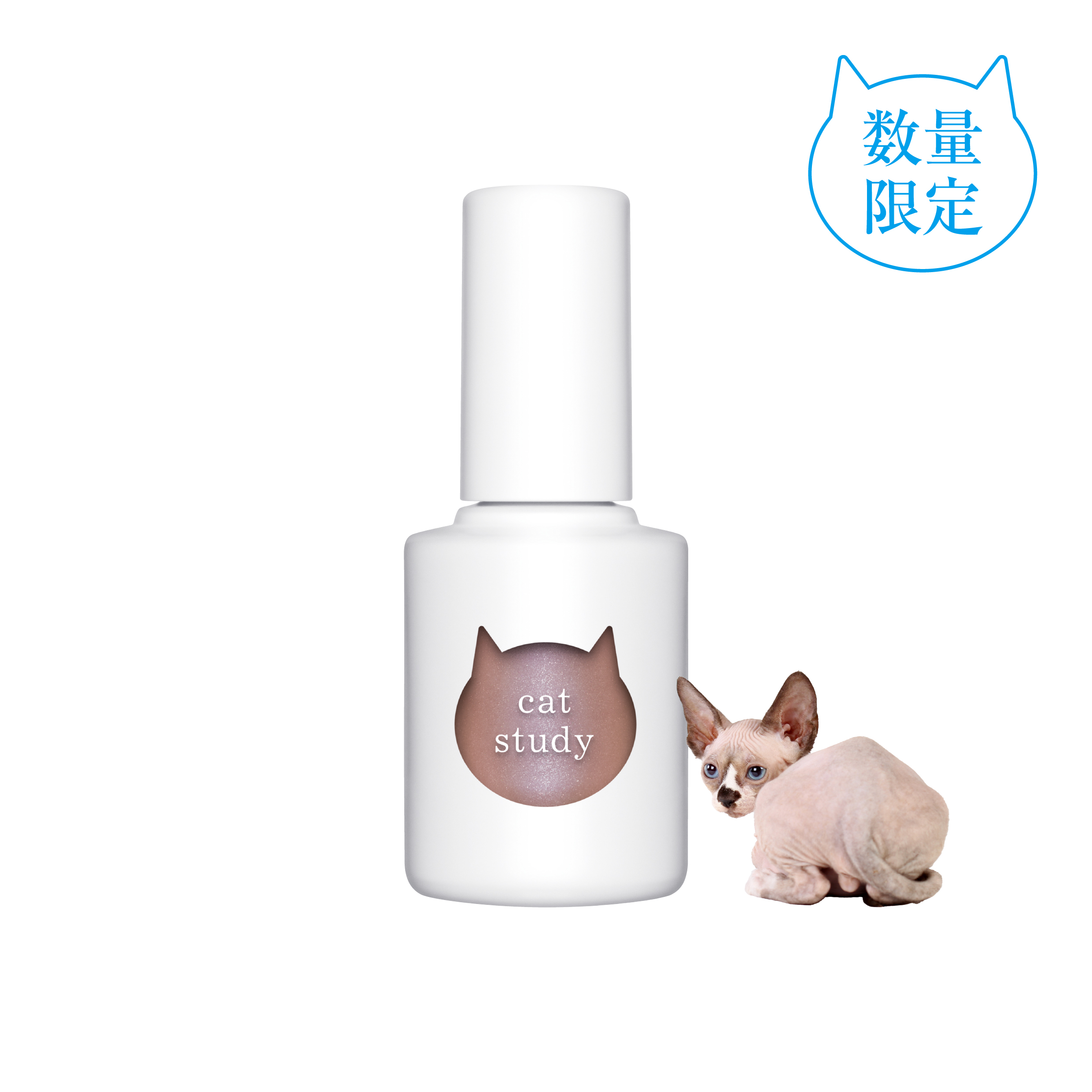 uka cat study sphynx pink | 【公式】オンラインストアukakau